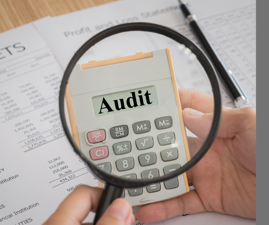 WHAT IS AUDITING? – European International Investment Group
